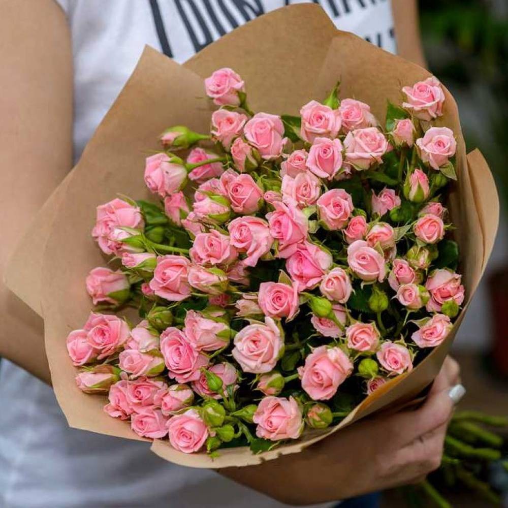 Spray Roses – NS Flowers Webshop